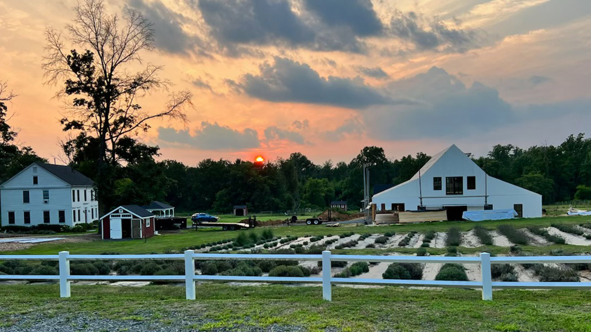 Princeton Lavender Farm – Celebration Events